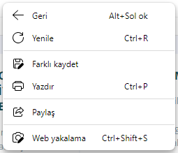 how to open devtoolswindow from application. - FiveTech Software tech support forums